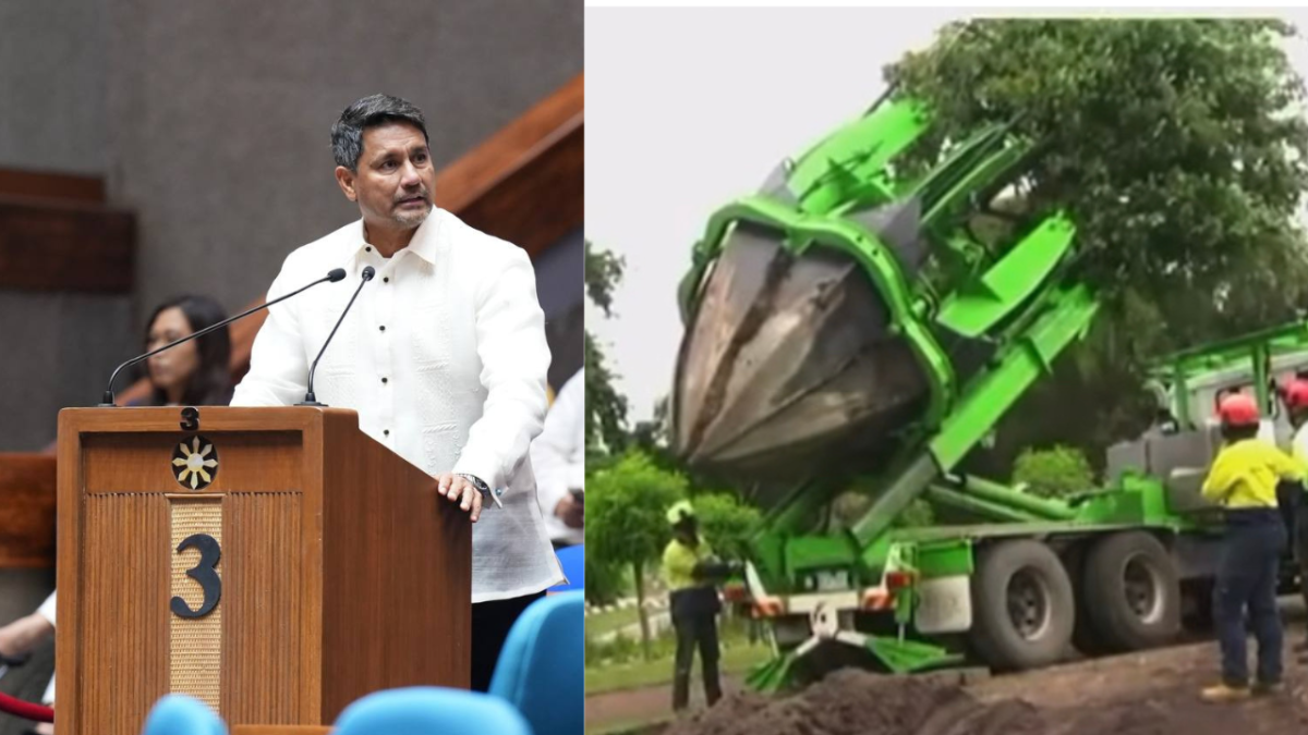 UPGRADE ON UPROOTING AGE-OLD TREES NEEDED – CONG GOMEZ – The Bench Files