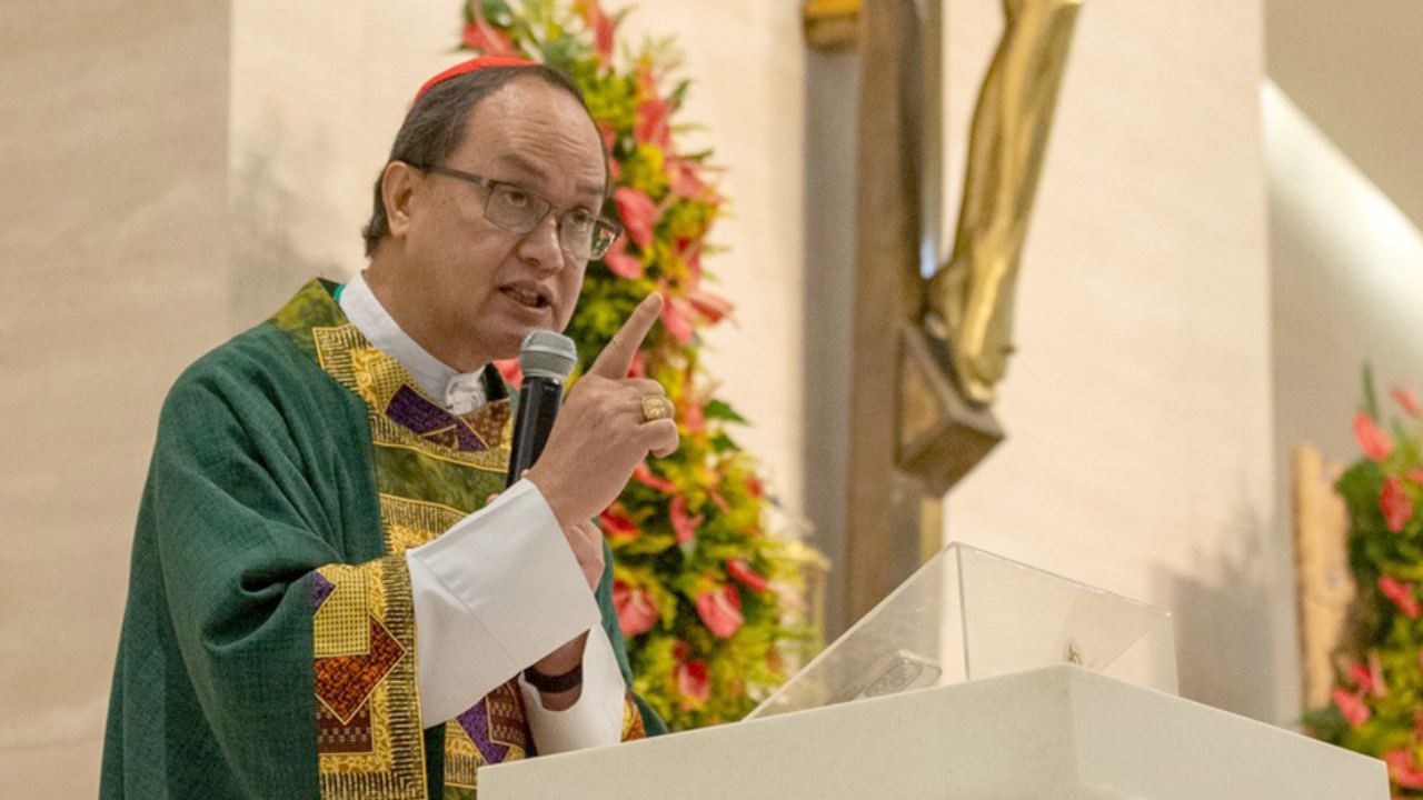 CARDINAL DAVID: REAL REFORM COMES FROM ACCOUNTABILITY, NOT POLITICAL ...