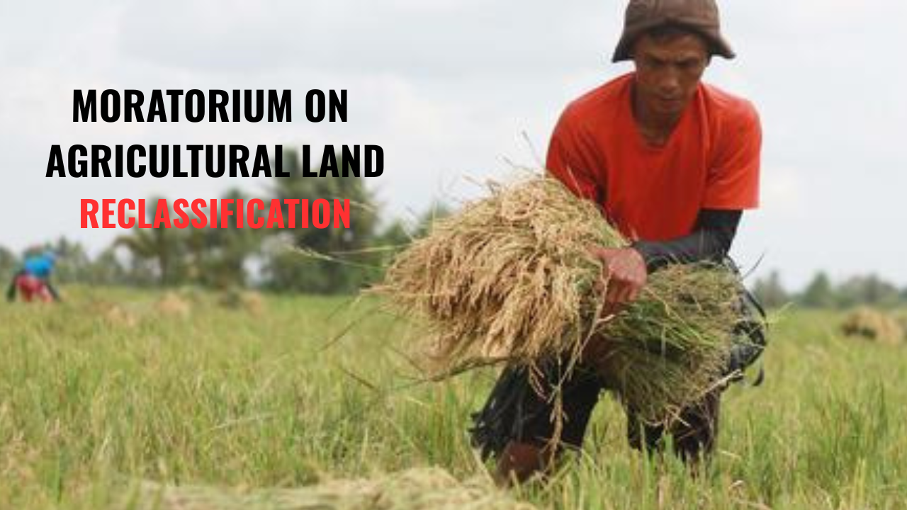 “BETTER LATE THAN NEVER.” LET’S HOPE SO. – The Bench Files